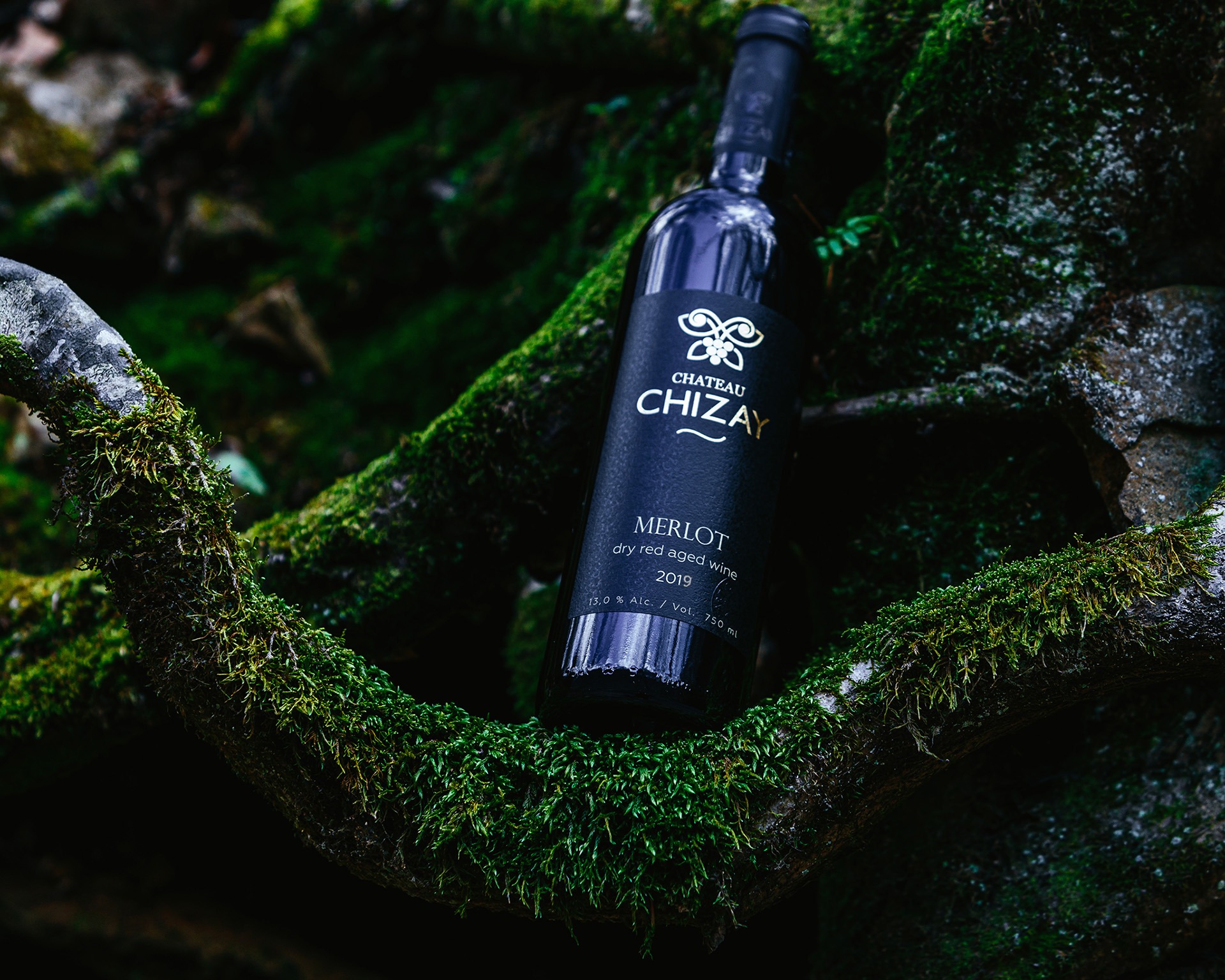 Merlot Dry Red Aged Wine - Chateau Chizay